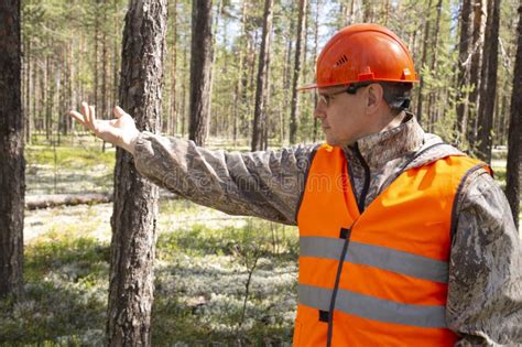 A Forest Engineer Conducts Tree Research In The Forest Stock Image Image Of Helmet Hand