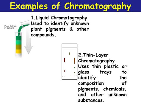 Ppt Chromatography Applications Types And Principles Powerpoint Presentation Id 9318509