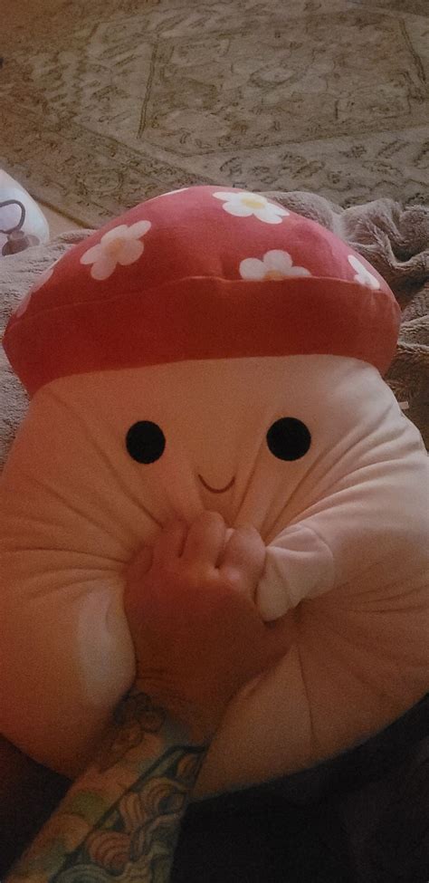 Scronch R Squishmallow