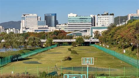 협회장배 파크골프 대회를 기다리는 성남시 수내 파크골프장 Youtube