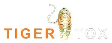 3 Simple Ways To Download Thothub Videos On Totally Different Devices