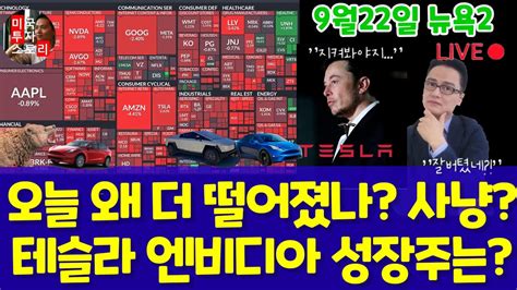미국주식시황오늘 왜 더 떨어졌나 내일은 테슬라 엔비디아는 왜루시드 리비안 니오 구글 애플 아마존 메타 마이크로소프트