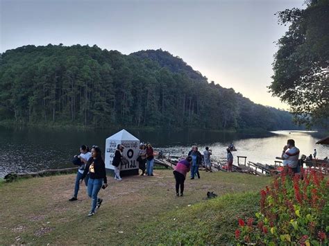 ข่าว Like สาระ แห่เที่ยวปางอุ๋ง รักไทยแหล่งท่องเที่ยวยอดฮิตเมืองสามหมอก