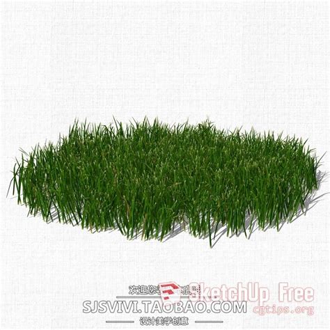 Tree Sketchup Model Free Download Sketchup Model Free Model