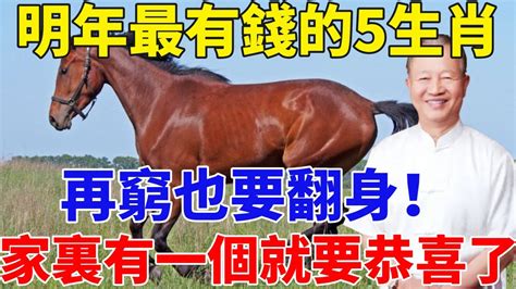 明年2025年蛇年，最有錢的5個生肖，意外之財不斷，再窮也要翻身！家裏有一個就要恭喜了！【佛語禪音】生肖 命理 運勢 屬相 風水