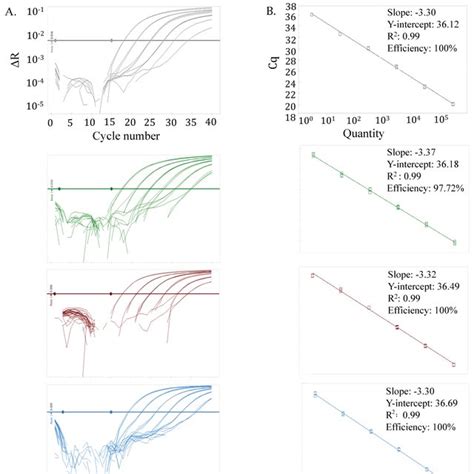 Multiplex Real Time Qpcr For Simultaneous Detection And Quantification