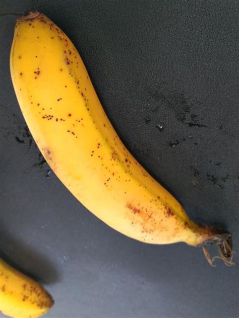 Banana Ripeness Classification Classification Dataset V1 Original