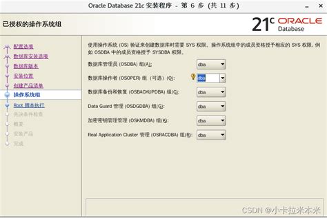 linux 安装oracle 21c oracle21c下载 csdn博客