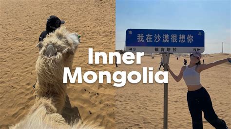 🇨🇳vlog 교환학생 브이로그 내몽골에서 2박3일 사막 액티비티🏜️ 게르에서 하룻밤⋆｡ 시라무런 초원 짚라인•사막
