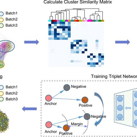 Overview Of ScDML For Merging Clusters And Removing Batch Effects In Download Scientific