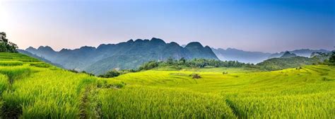 The Repercussions Of A Compromised IP Address