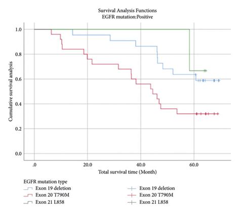 Survival Curves Of Different Egfr Mutation Types Download Scientific Diagram