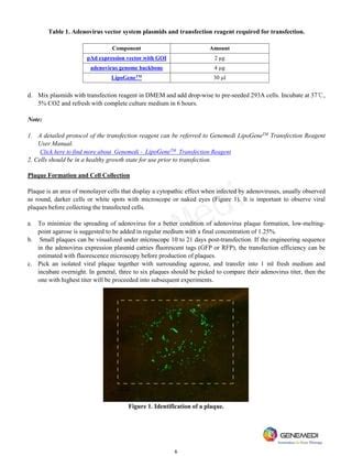 Genemedi Adenovirus Production Protocol Packaging Concentration And