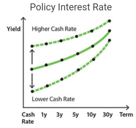 [solved] draw a yield curve and write the formula for the yield curve