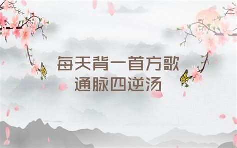 每天背一首方歌 通脉四逆汤 哔哩哔哩
