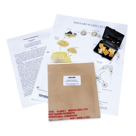 Physarum Polycephalum Sclerotium Living Box Carolina Biological Supply