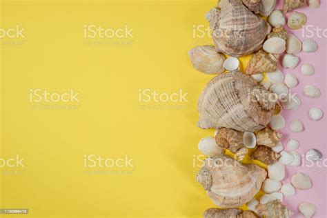 여름 구성 플랫 레이 분홍색과 노란색 배경에 다양 한 종류의 조개의 평면도 최소 스타일 텍스트 서식 파일의 공간을 복사 합니다 휴가 컨셉 0명에 대한 스톡 사진 및 기타
