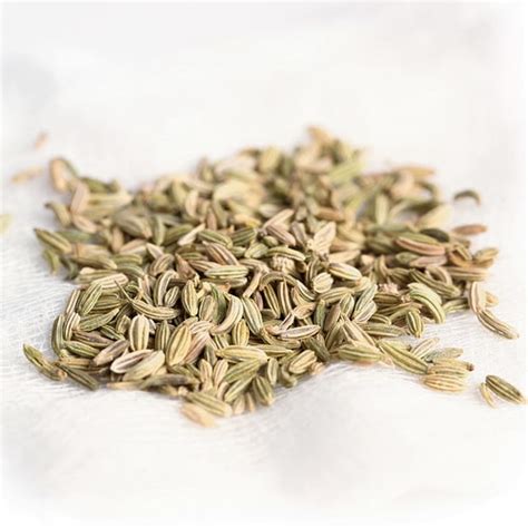The Best Immune System Supplements Bust Bunny