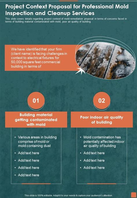 Project Context Proposal For Professional Mold Inspection And Cleanup Services One Pager Sample