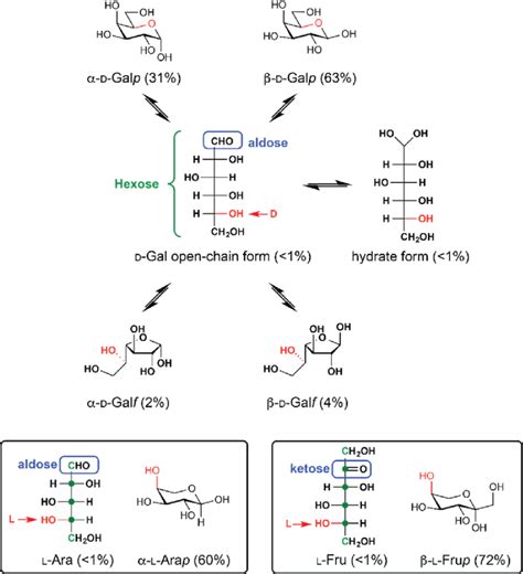 Ring−chain Tautomerism Of D Galactose Showing The Pyranose Furanose Download Scientific