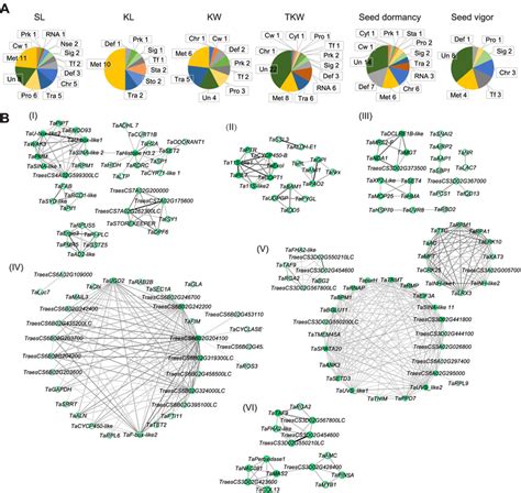 Candidate Gene Function Classification And Network Prediction A The