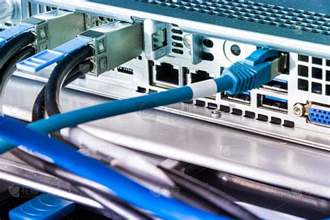 连接到服务器交换机的网线