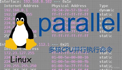 【linux】多核cpu并行执行命令行任务工具parallel：用于在多核 cpu 上并行执行命令行任务，提高命令执行效率，适用于各种需要并行处理的场景 linux parallel csdn博客