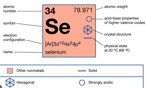 Selenium The Essential Micronutrient Involved In Supporting Healthy Muscle Activity