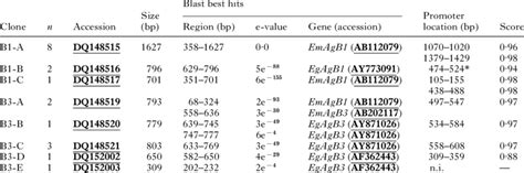 Blast And Promoter Search Results Obtained For The Agb Clones Sequenced