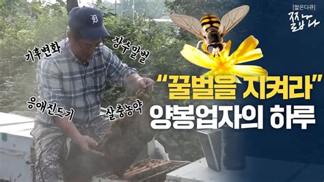 세계 벌의 날에 보는 양봉업자의 생생한 하루│꿀벌이 지구에 꼭 필요한 이유│고마워 꿀벌아│다큐멘터리│짧은다큐│짧다 Youtube