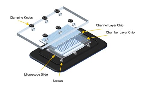 微流控技术前沿：高通量患者来源类器官培养平台，助力临床决策 Fluidiclab微流控实验室 值得您信赖的微流控合作伙伴