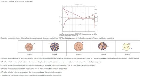 Solved A Binary Eutectic Phase Diagram Like The One Shown