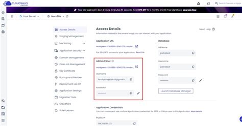 Quick Guide Set Up Wordpress On Cloudways In 10 Minutes