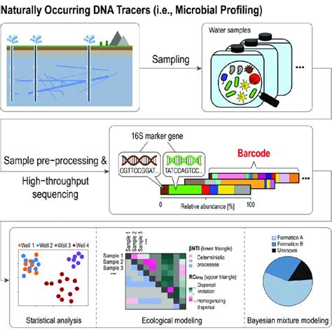 Schematic Illustration Of Naturally Occurring Dna Based Tracer Methods