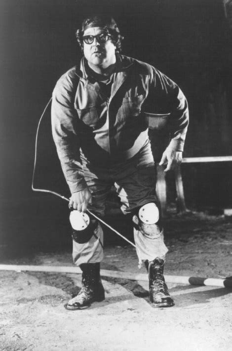 Lavender Pest Control Delbert Mcclintock Exterminator Of The Silver