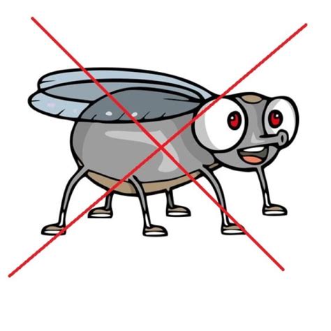 Do Qa Testing For Your Website Or App And Find Bugs By Annabaghdasarya