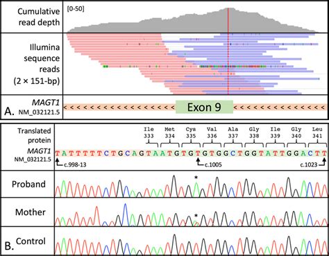 What Is A Read In Next Generation Sequencing At Milla Stelzer Blog