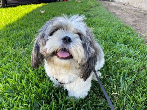 Ormond Beach Review A Beautiful Place To Visit Unseen Beaches