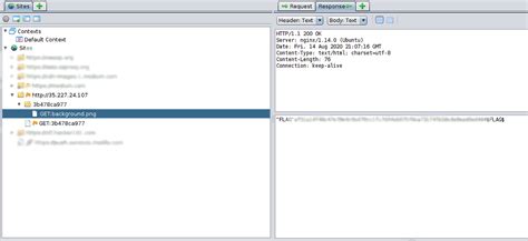 Hacker101 Ctf Level0 I Recently Wanted To Get Back Into By Mark