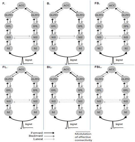The Models For Testing The Mechanism Of The Task Related Modulation Download Scientific Diagram