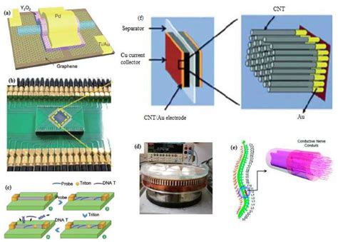 Carbon Nanotubes Based Devices And Applications A Architecture Of Download Scientific Diagram
