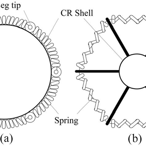 Spring Layout Of The Cr A Initial Spring Layout And B