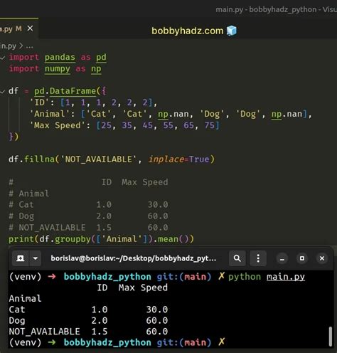 pandas groupby columns with nan missing values bobbyhadz