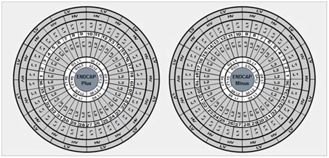 Structural Delineation Cms Gem Dcs Documentation