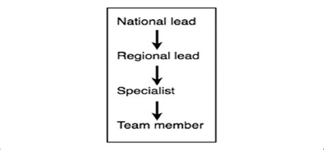 Reporting Hierarchy Download Scientific Diagram