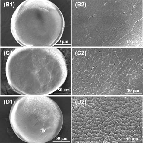 The Ft Ir Spectra Of Sodium Alginate Chondroitin Sulfate And A Series