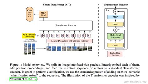 Vit 论文笔记learnable Embedding Csdn博客
