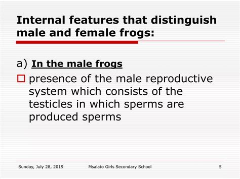 Dissection Of Frog Toad Updated Notes Pptx