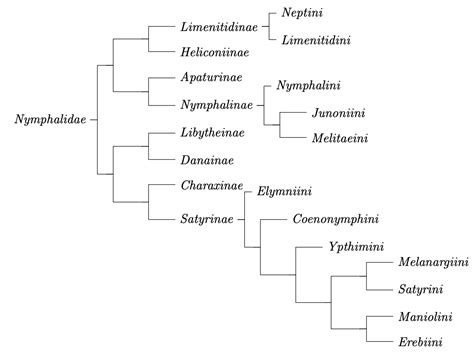 Diagrams Dimension Too Large When Using Forest Package Too Many