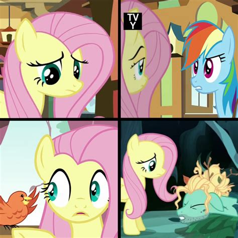 1170681 Safe Screencap Characterfluttershy Characterrainbow